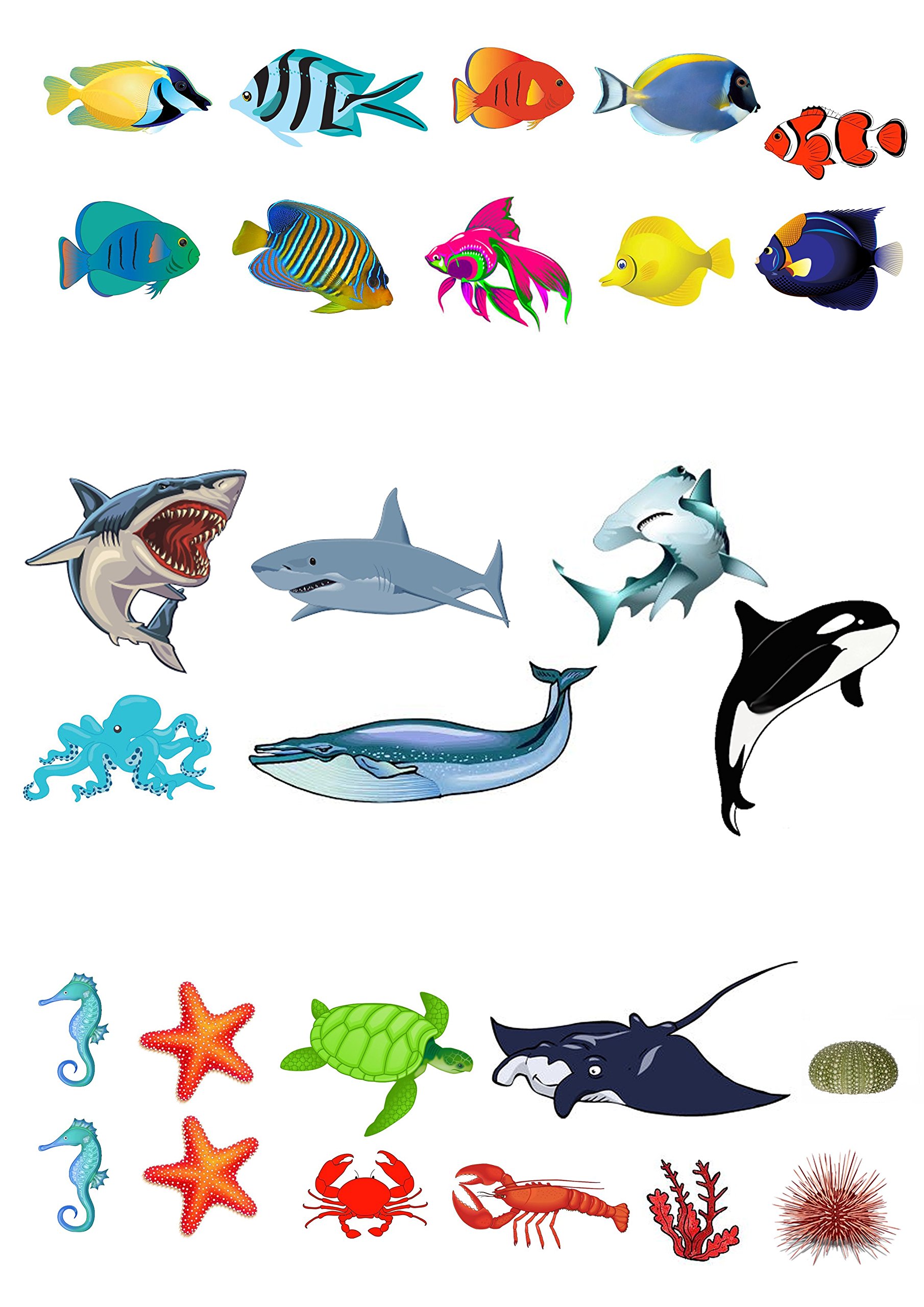 27 Stand Up Sea Creatures Animals Fish Underwater Themed Edible Wafer ...