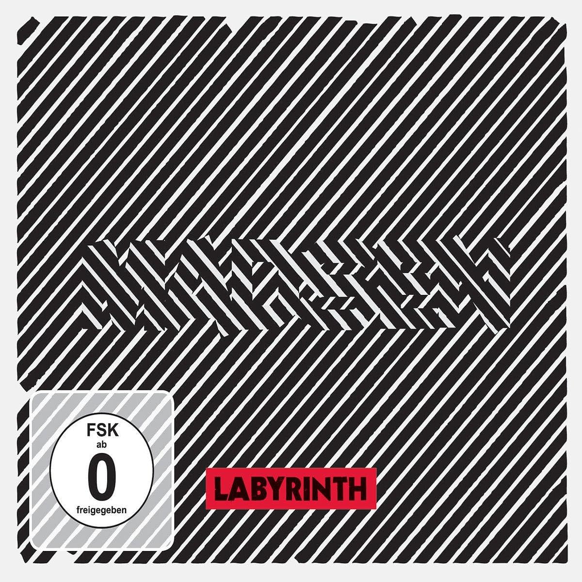 Labyrinth -CD+DVD-: Amazon.ca: Music