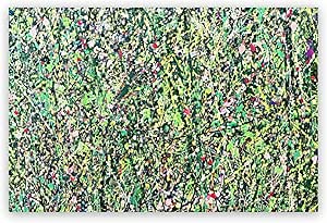 Amazon.com: Jackson Pollock Canvas Wall Art - Spring Grass and Blooms ...