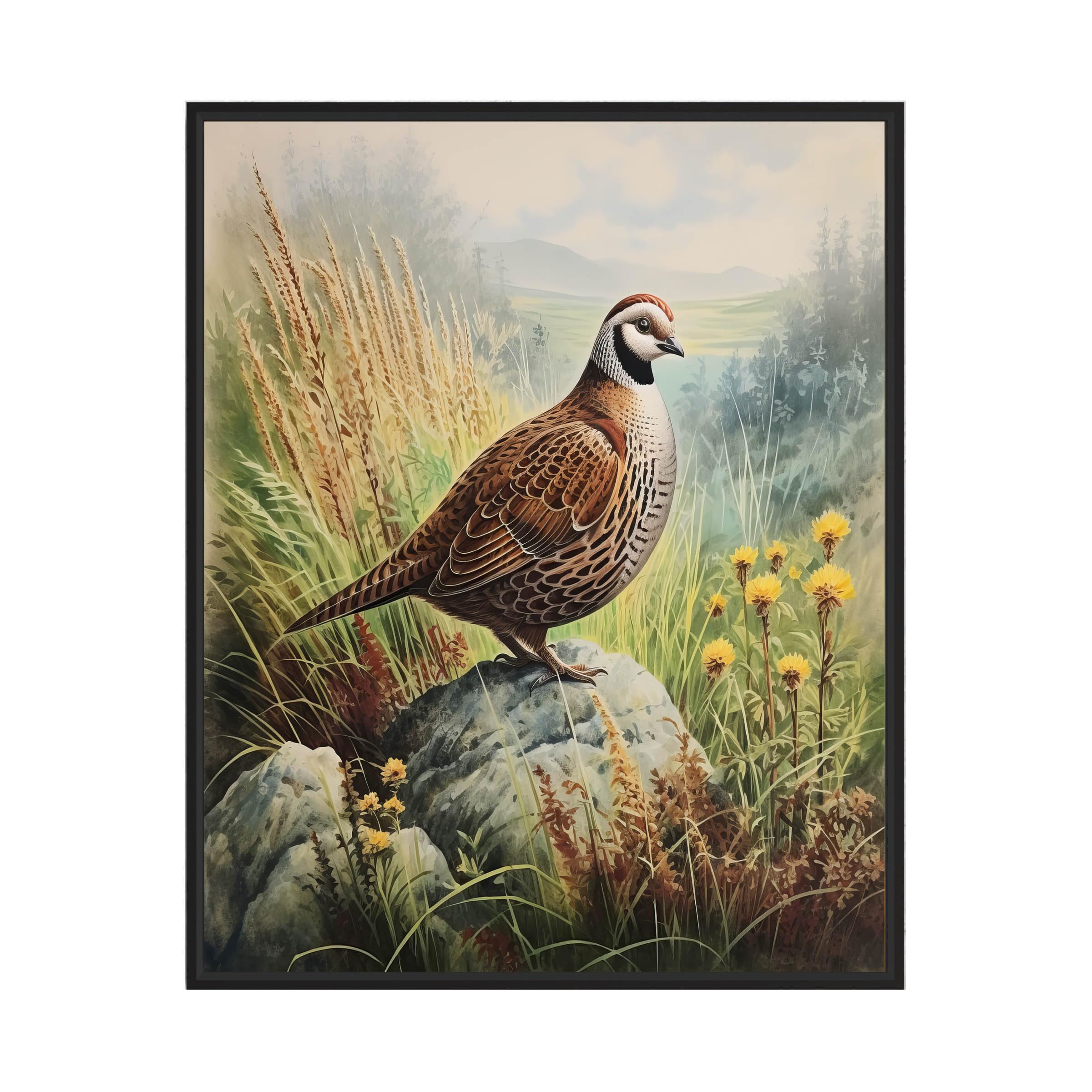 Dibujo De Codorniz Bobwhite