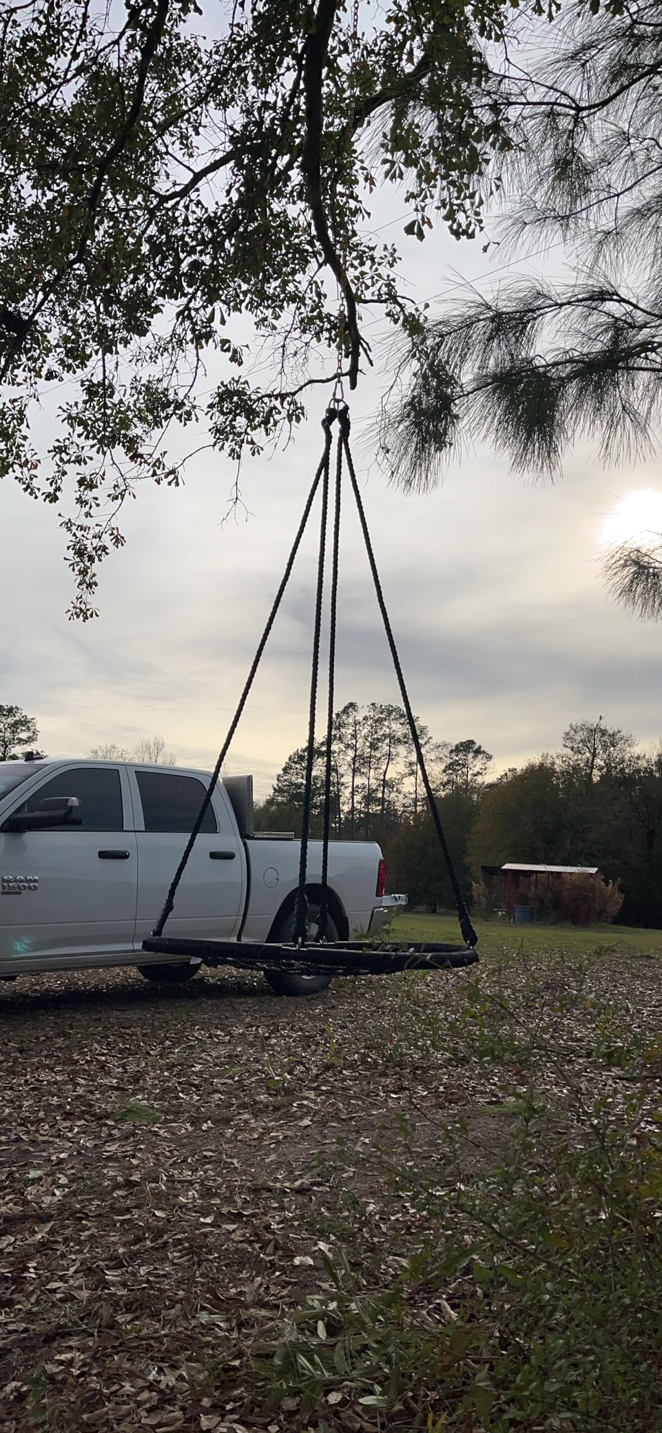 Amazon.com: Display4top Spider Web Tree Swing, 40" Round Net Swing Set ...