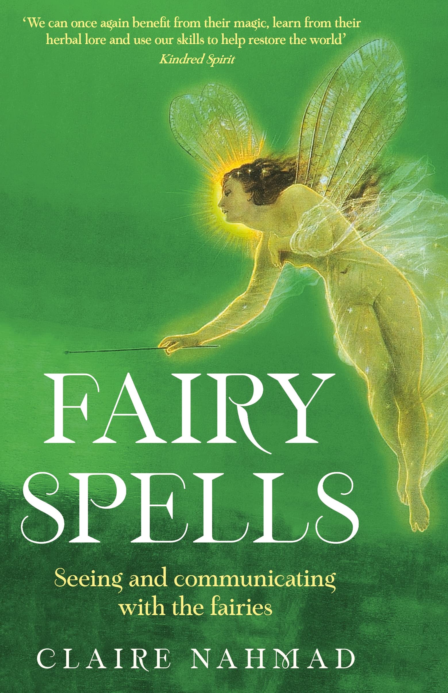Amazon.com: Fairy Spells: 9781800810495: Nahmad, Claire: Books