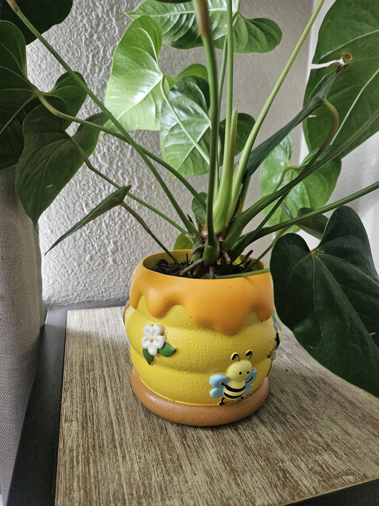 Amazon.com : GUGUGO Cute Bee Hut Plant Pots, Cute Unique Succulent ...