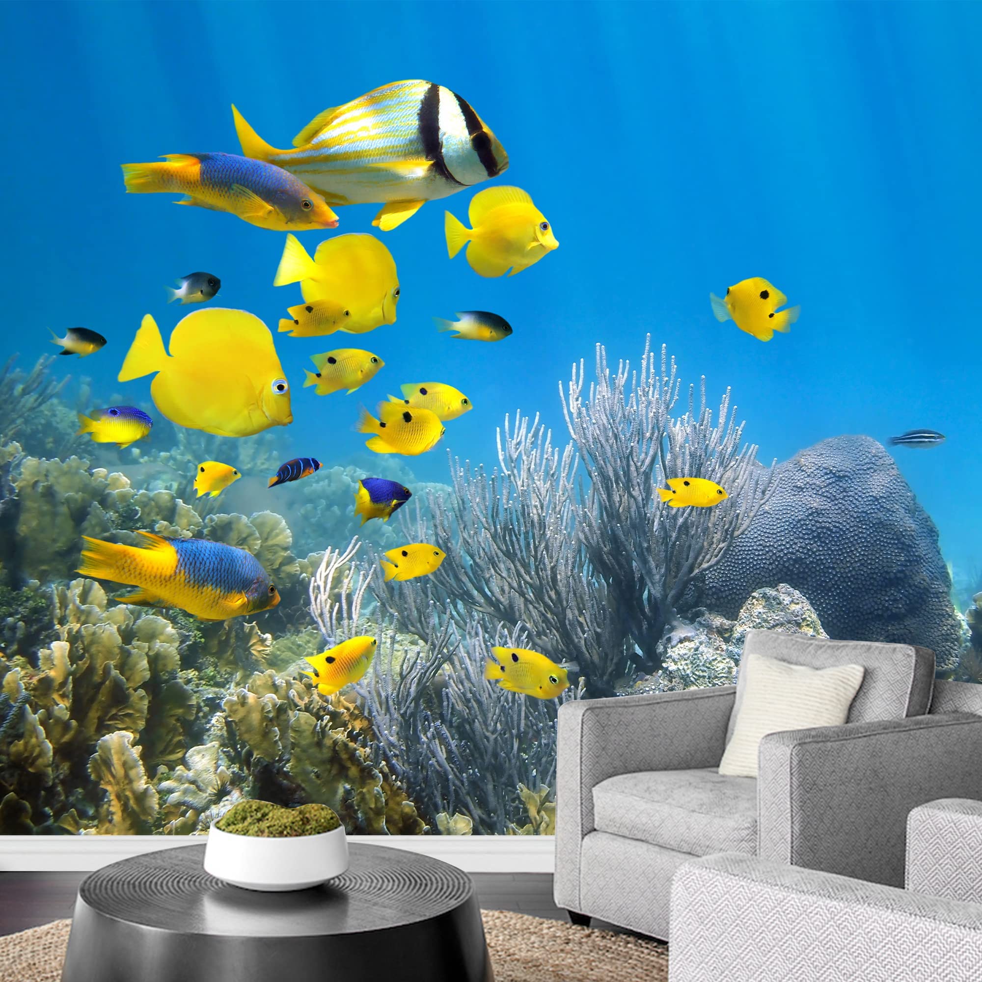 Saltwater Fish Wallpaper Saltwater Fish Pictures | Curated Photography