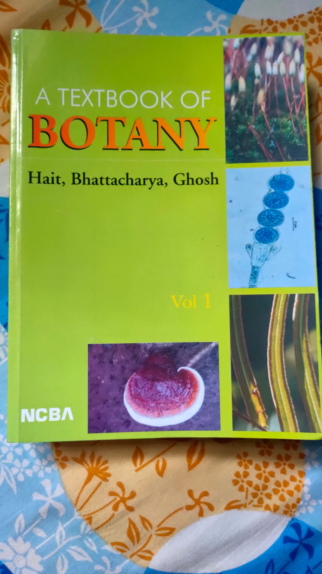 Buy A Textbook of Botany: Volume I Book Online at Low Prices in India ...
