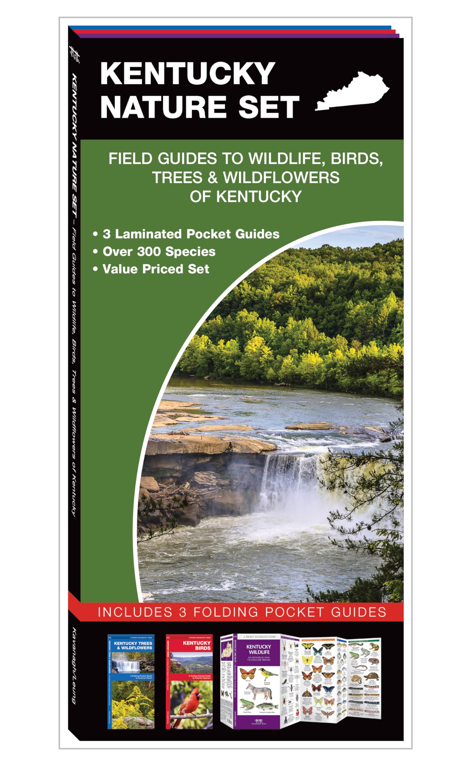 Kentucky Nature Set: Field Guides to Wildlife, Birds, Trees ...