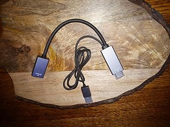 Amazon.com: BENFEI HDMI to DisplayPort Adapter, HDMI Source to ...