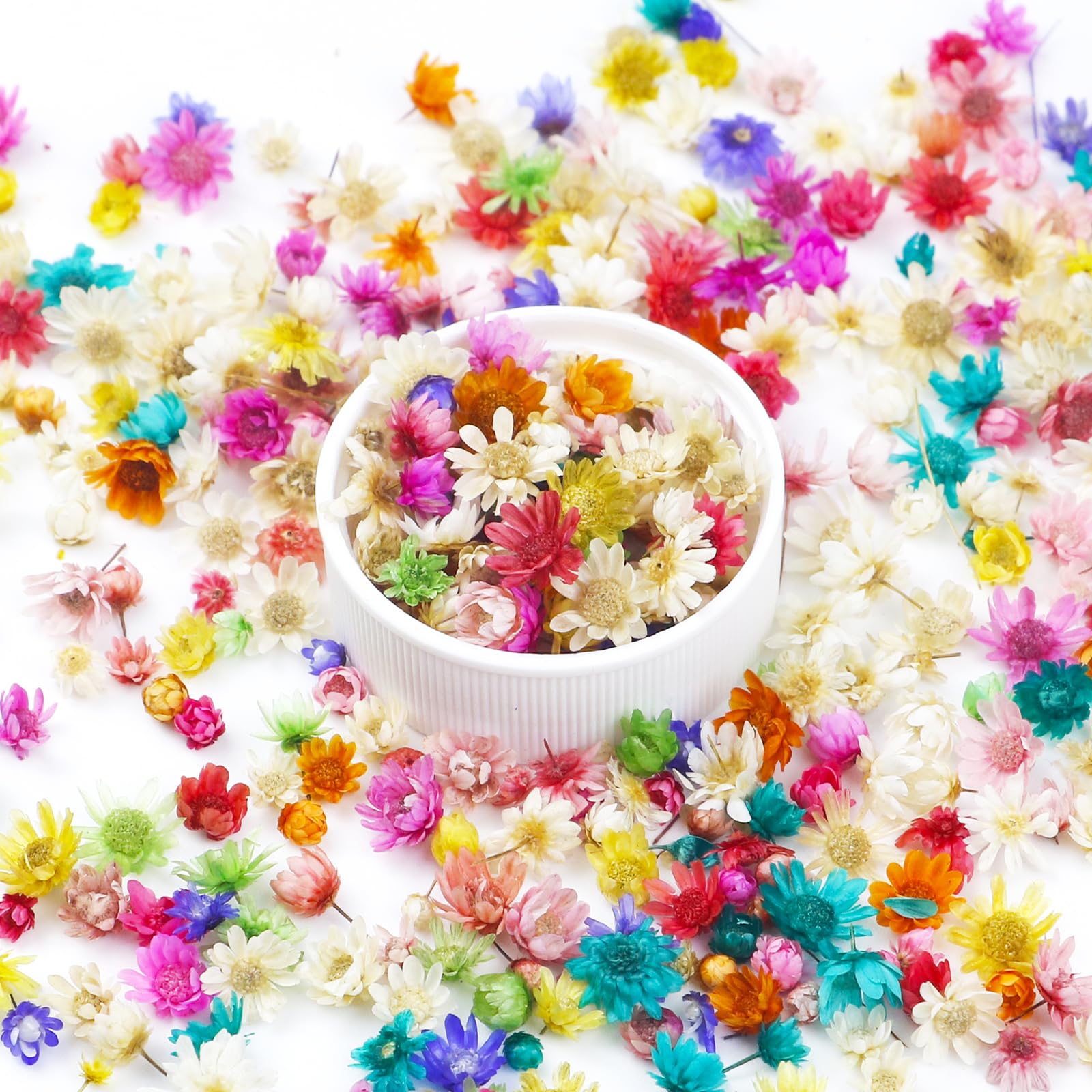 Amazon.com: 280 PCS Mini Dried Flowers for Resin, Small Dried Flowers ...
