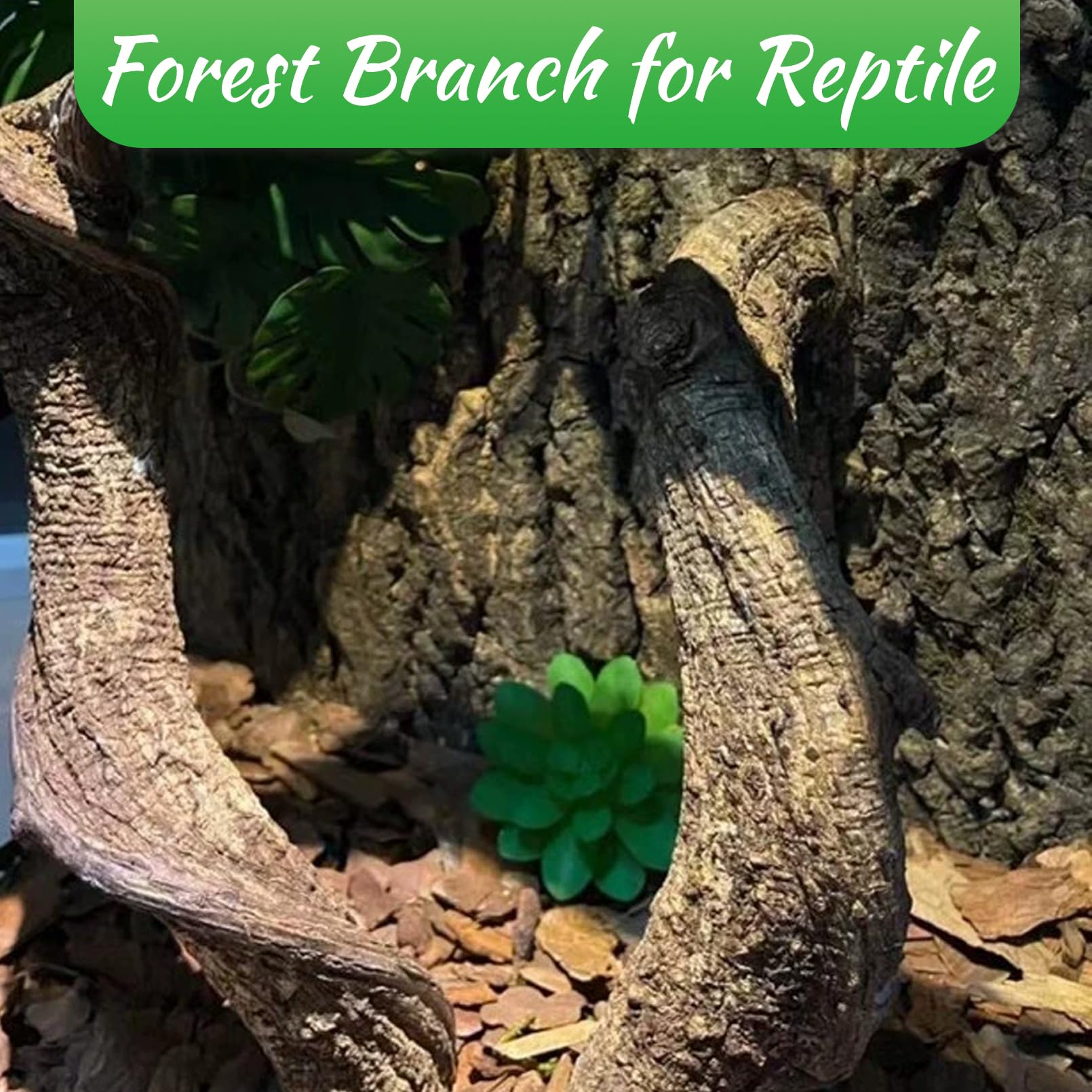 Snapklik.com : Apatal Reptile Climbing Branch Decor Wood Snake ...