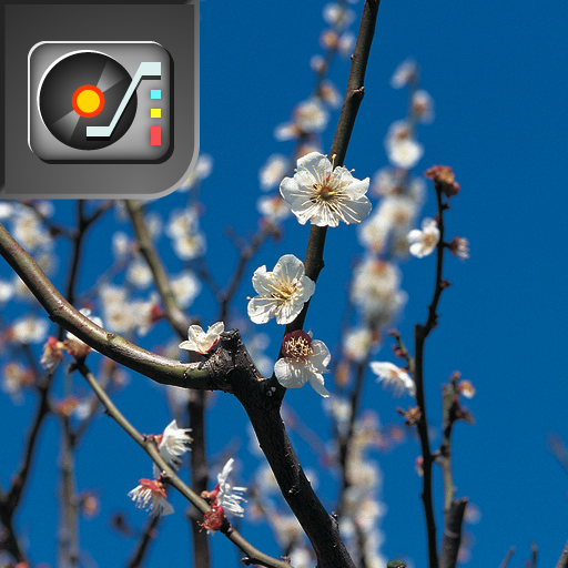 Picture Puzzle: Rave Tree Blossoms - App on Amazon Appstore