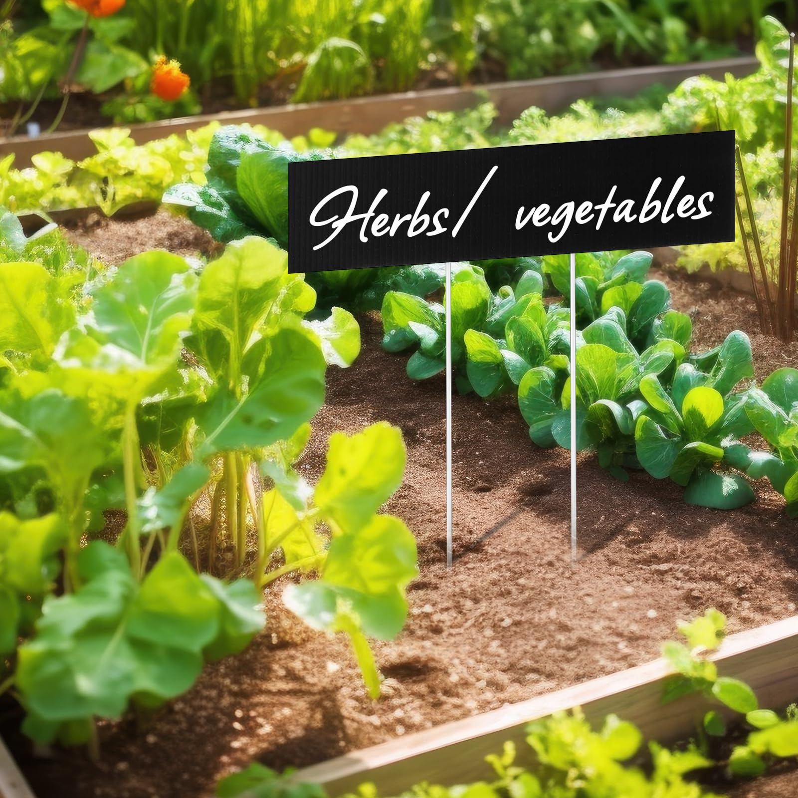 Snapklik.com : Vercraft 10 Set Jumbo Outdoor Plant Label Stakes ...
