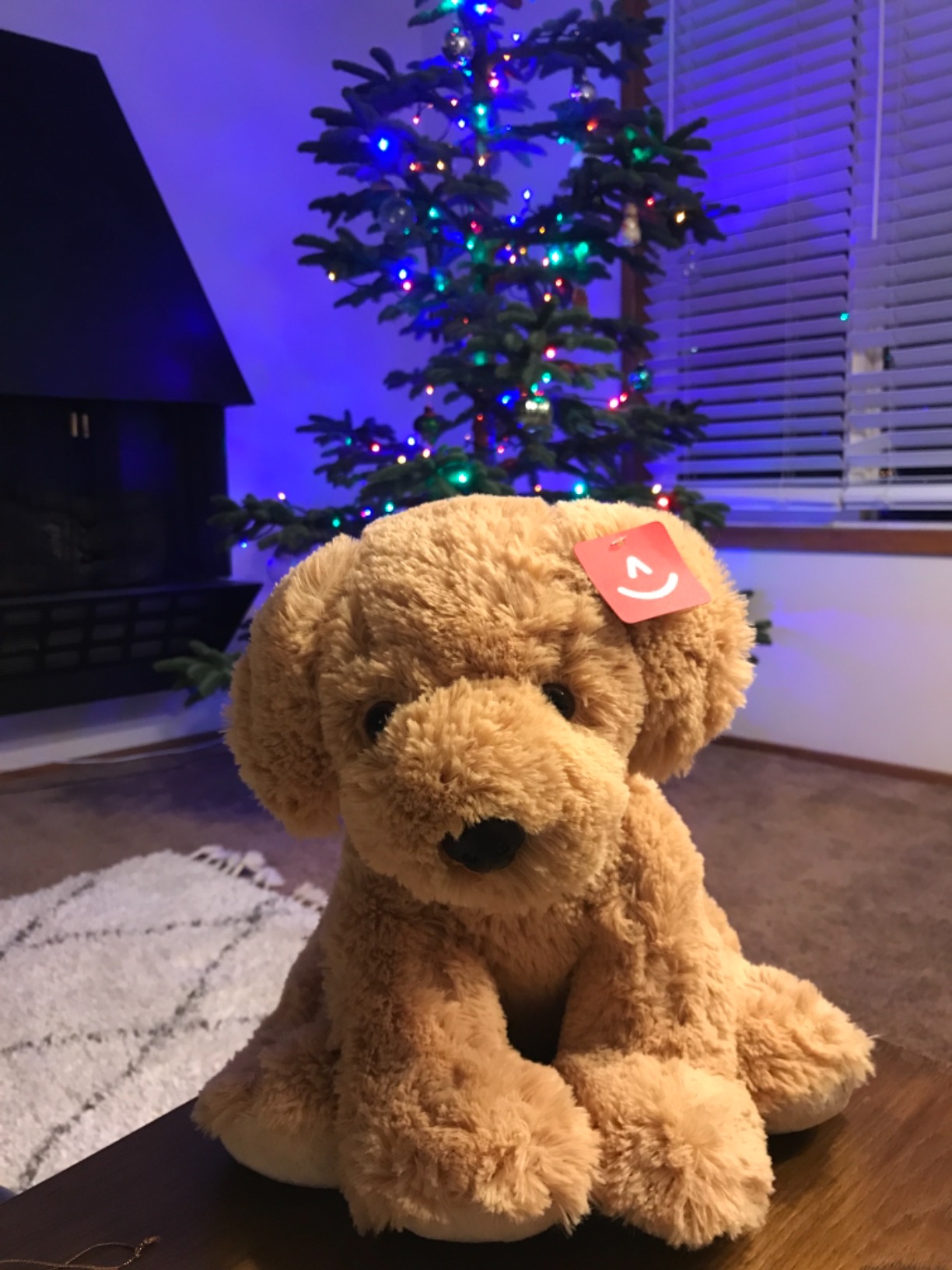 Amazon.com: Aurora® Cuddly Golden Lab Stuffed Animal - Cozy Comfort ...