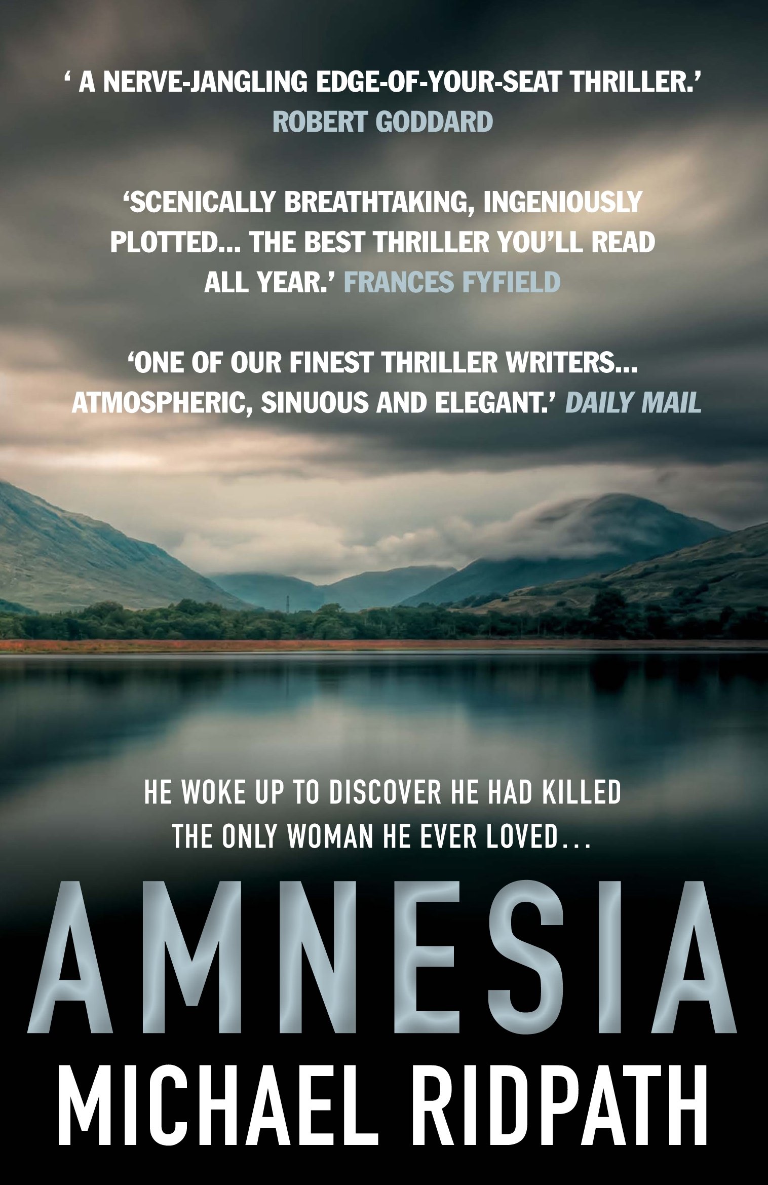 Buy Amnesia: An 'ingenious' and 'twisting novel', perfect for fans of ...