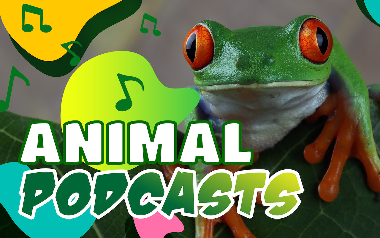 Amazon.com: Animal Sounds : Alexa Skills