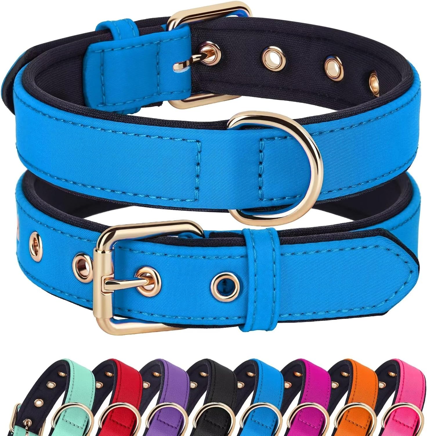 Amazon.com : Didog Soft Padded Dog Collars for Small Dogs, Lightweight ...
