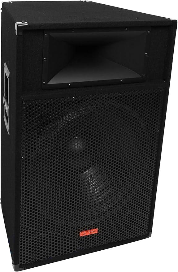 Amazon.com: Patron Pro Audio PSS-2500 Single 18 Inch Dj Speaker 2500 ...