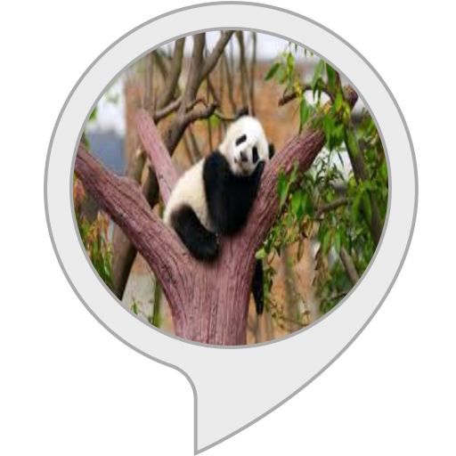 Amazon.in: Animal facts : Alexa Skills