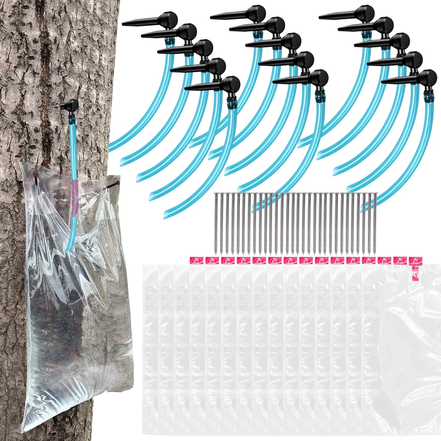Maple Tree Tapping Kit Include 15 Maple Syrup Taps,15 Maple Syrup Sap ...
