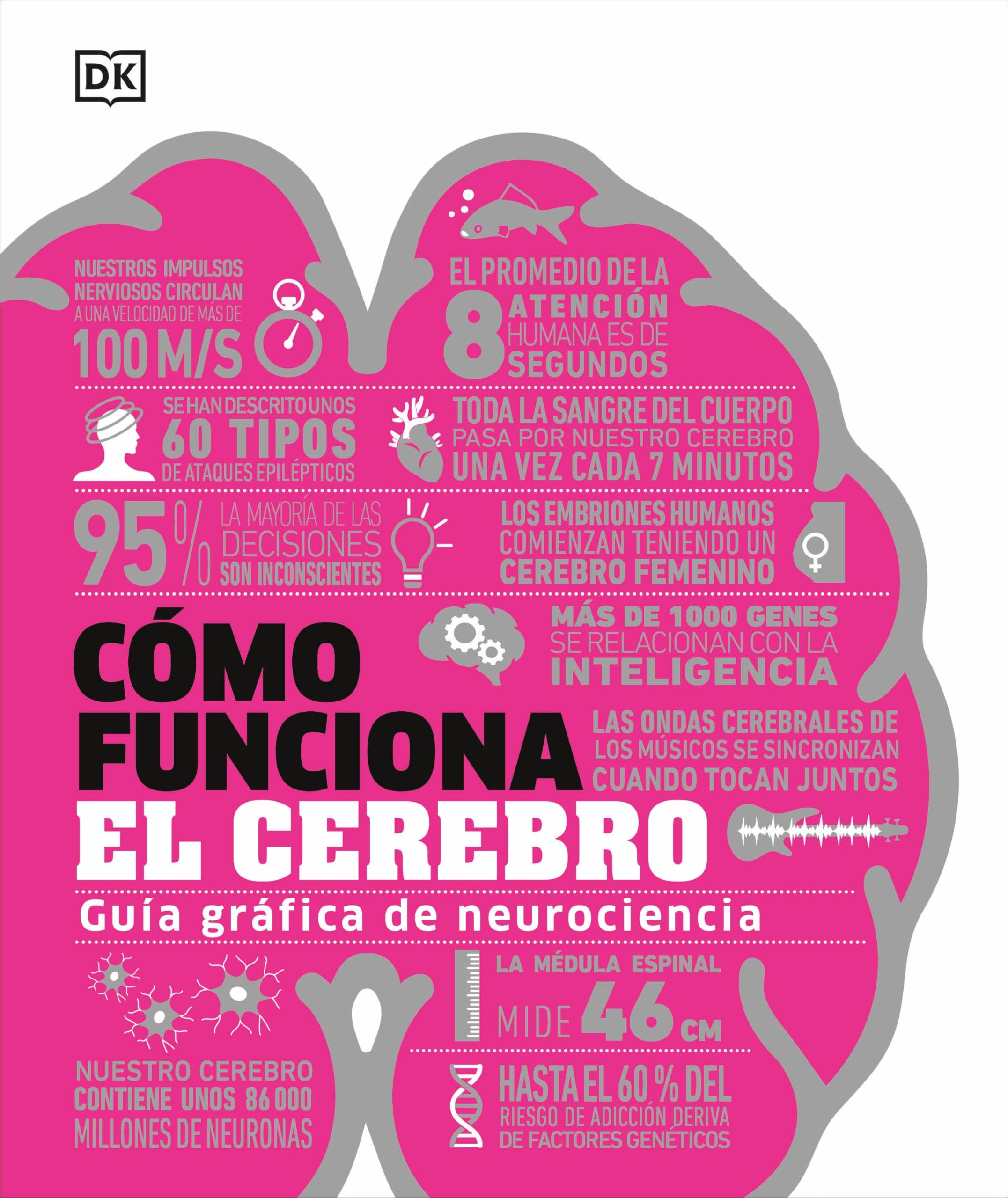 Cómo funciona el cerebro (How the Brain Works) (DK How Stuff Works ...