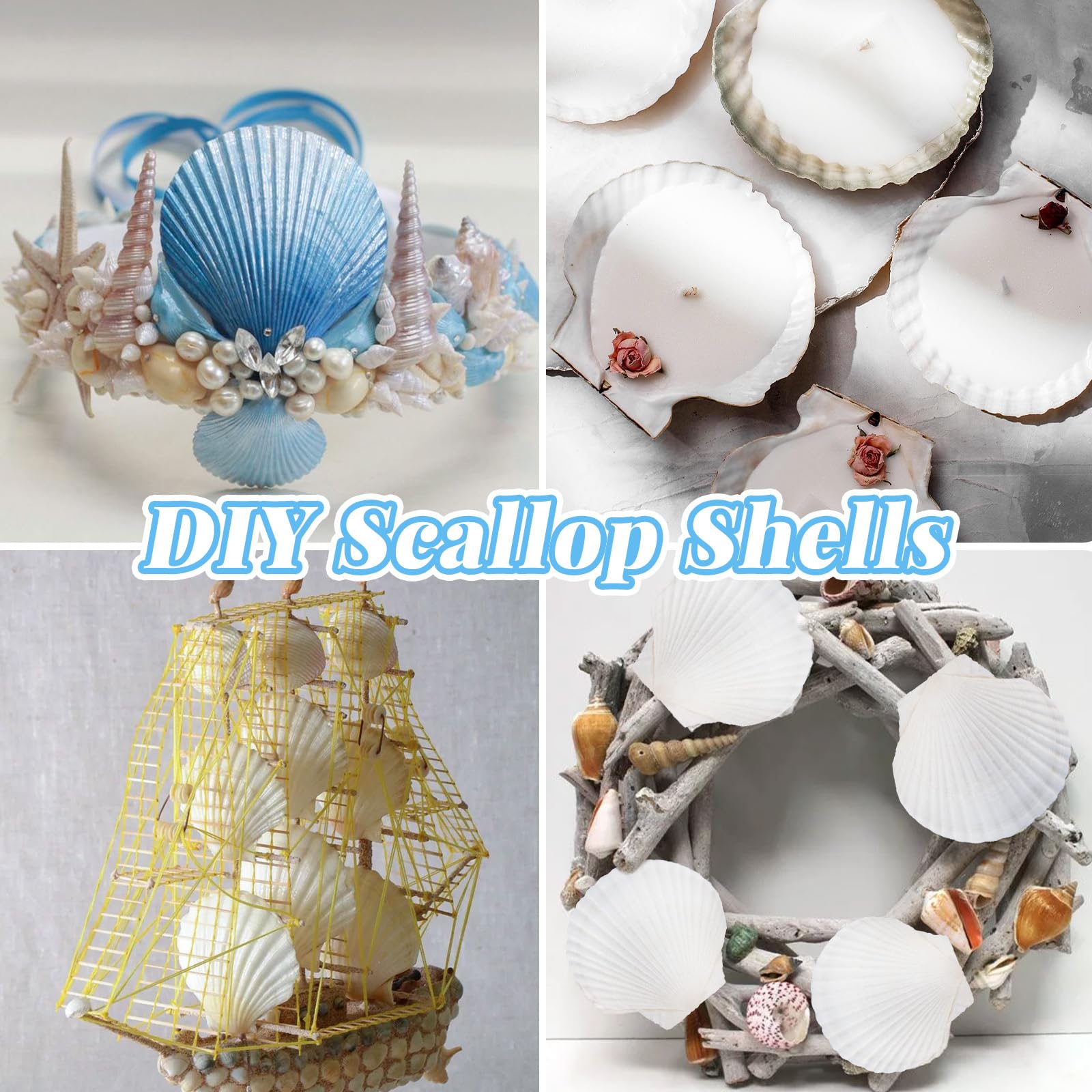 Boda Lbi Con Conchas Marinas A Romantic Home Wedding On Long Beach