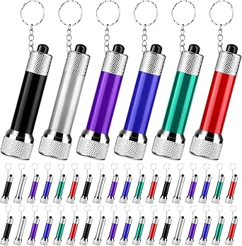 Honoson 30 Pack Portable 5 LED Torch Keyring Aluminum Mini Flashlight ...