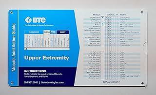 Understanding Muscle Action And How It Works | CyVigor