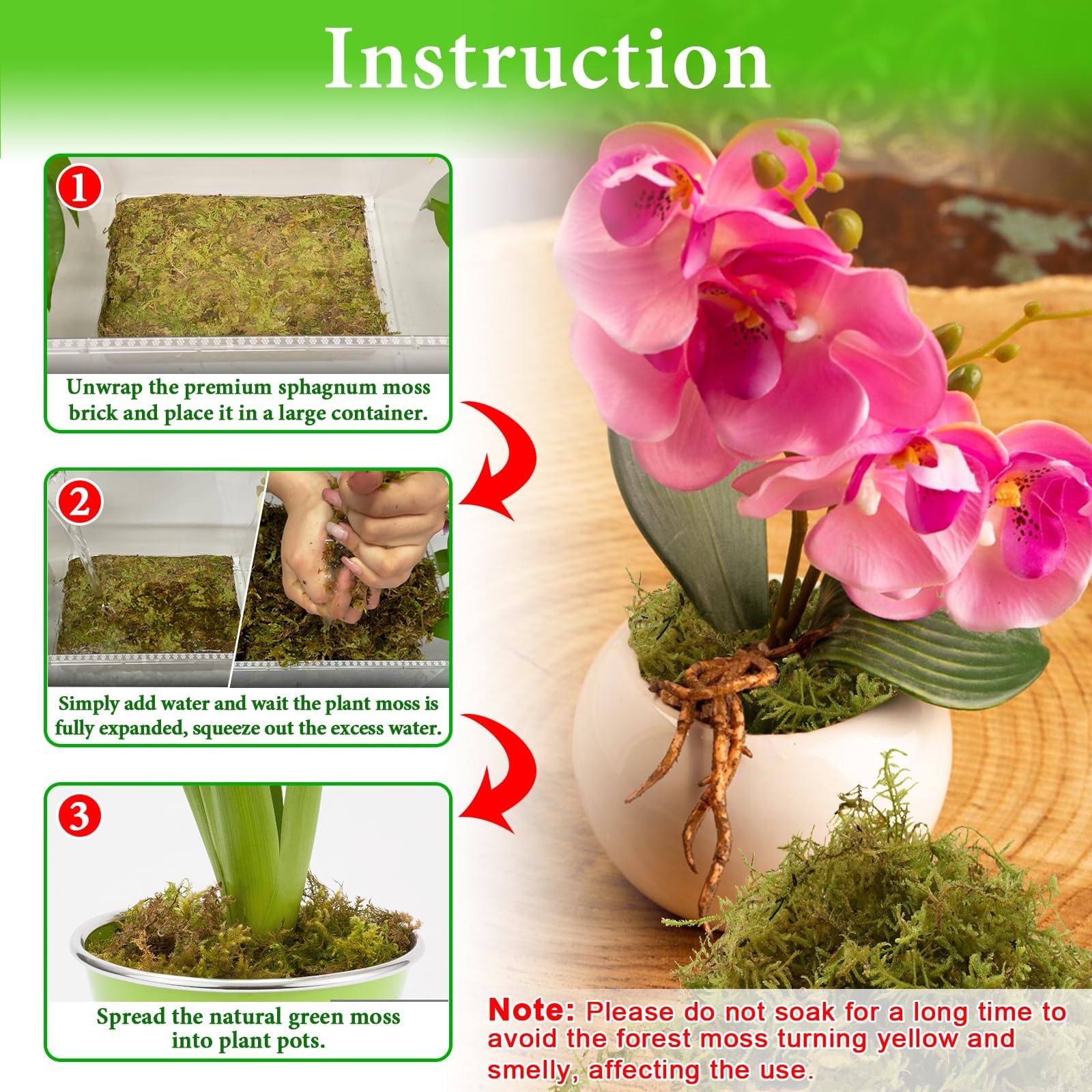 Snapklik.com : 2.2LB Green Forest Moss- 50QT Natural Sphagnum Moss For ...