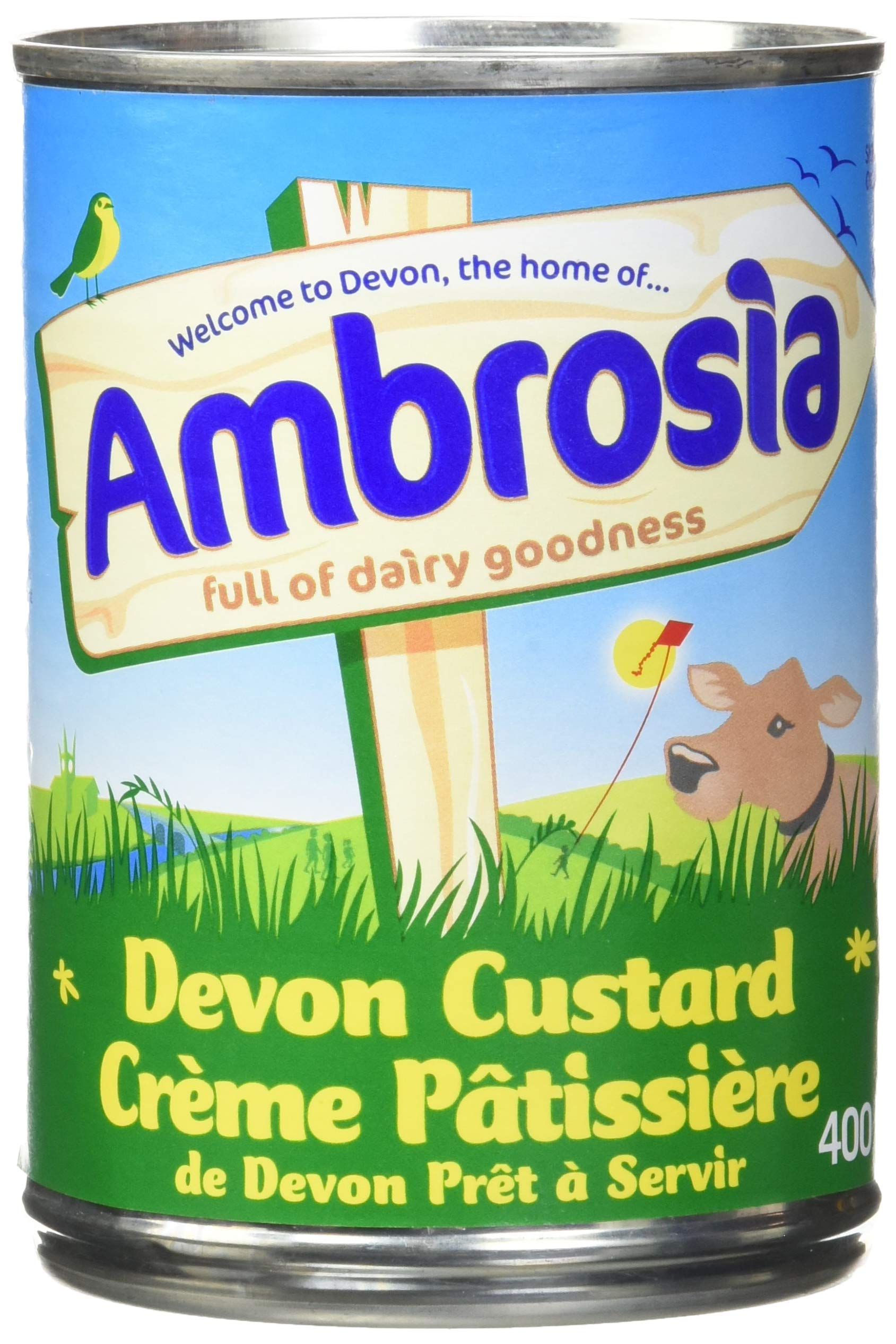 Ambrosia Devon Custard, 400 g (Pack of 1) Package May Vary : Amazon.ca ...