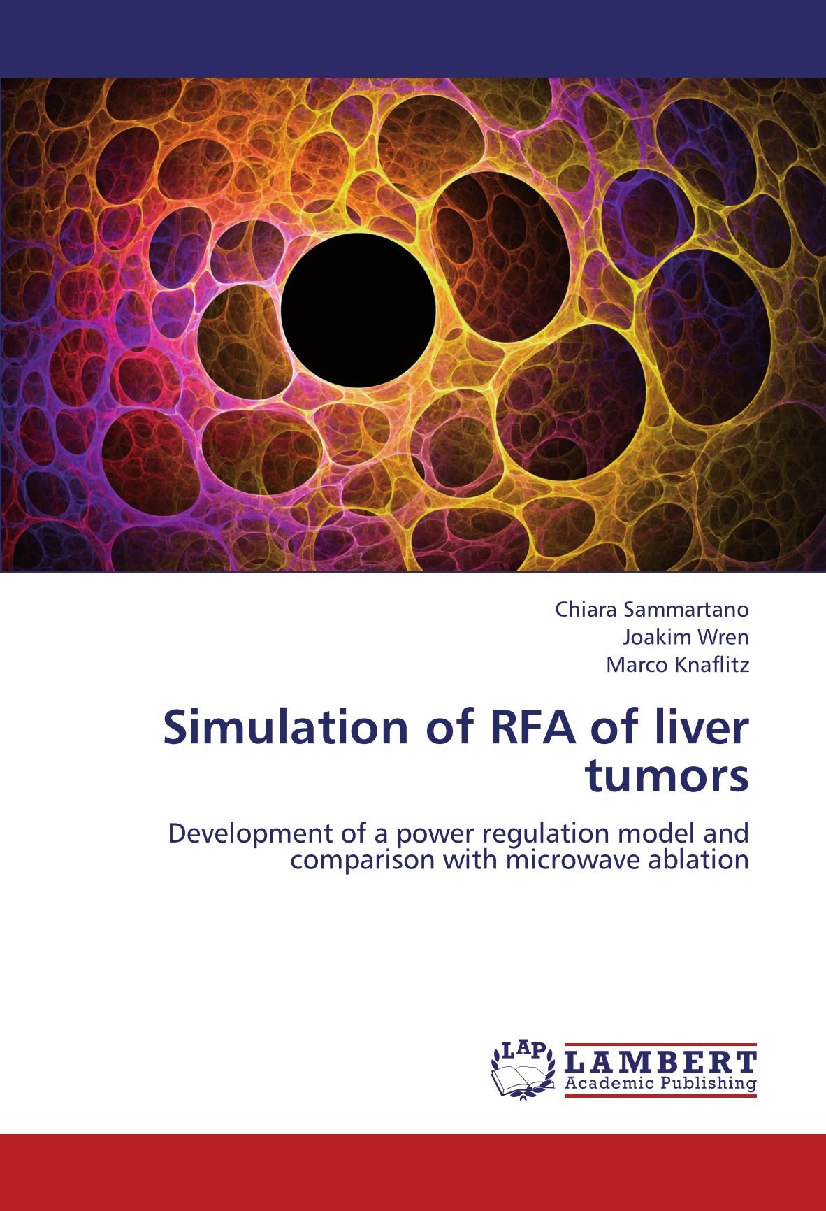 Buy Simulation of RFA of liver tumors: Development of a power ...