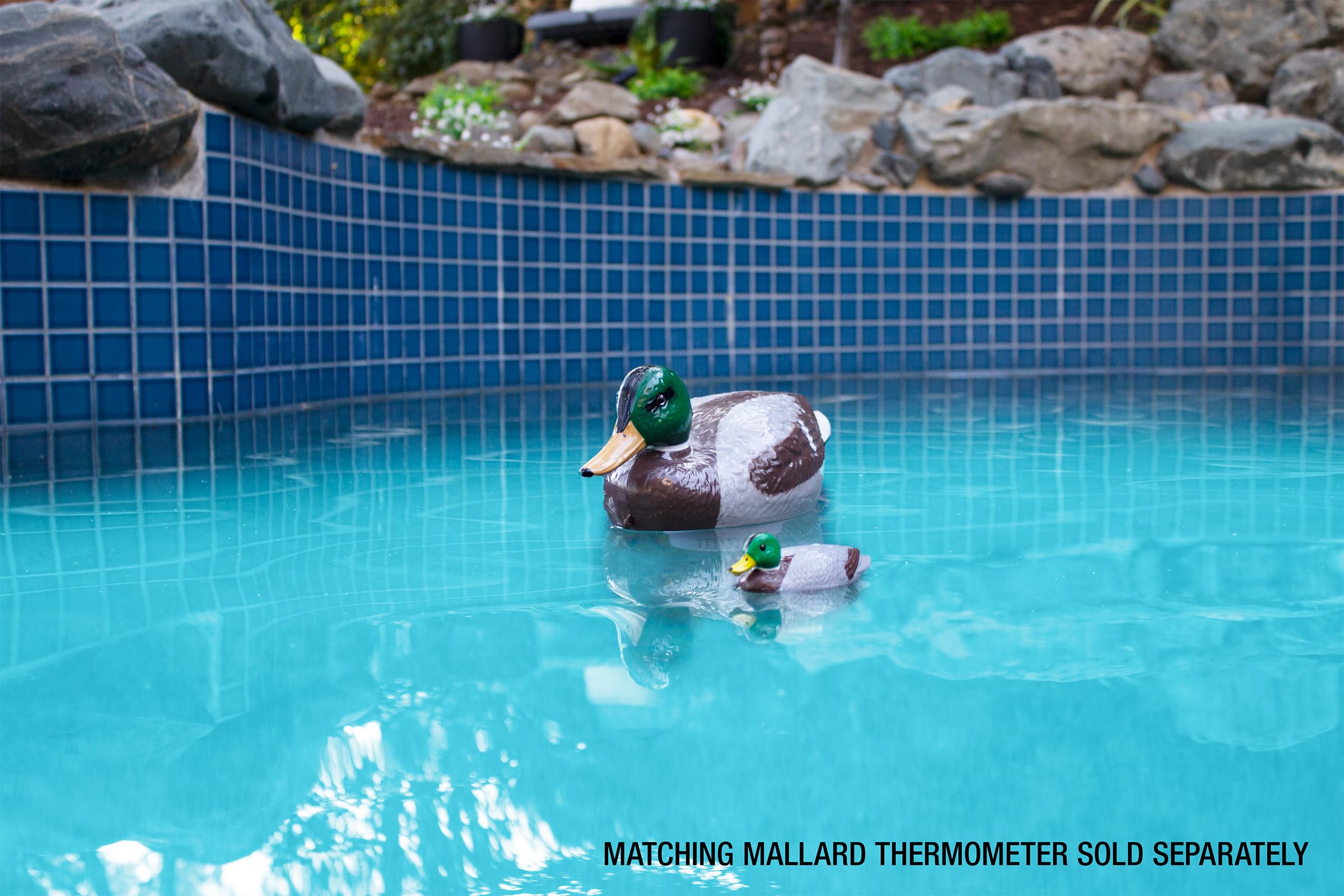 Snapklik.com : Poolmaster Easy-Read Floating Swimming Pool