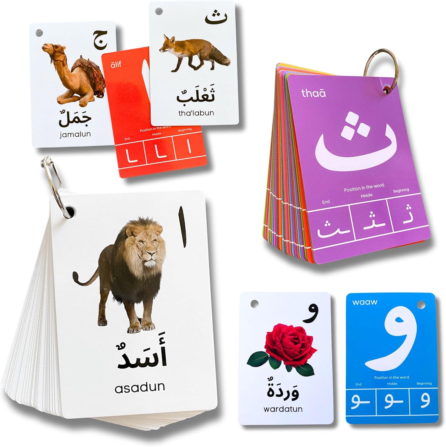 Arabic Alphabet Flash Cards for Kids Toddler and Nepal | Ubuy
