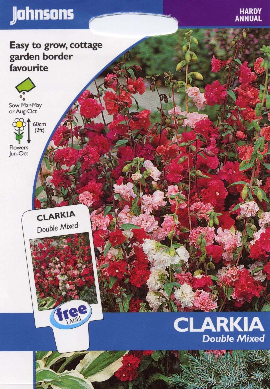 Johnsons Seeds - Pictorial Pack - Flower - Clarkia Double Mixed - 1500 ...