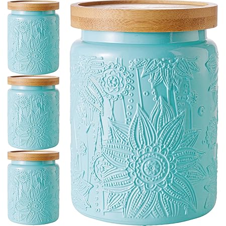 Amazon.com: GoldArea 4 Pack Kitchen Canisters, 25 oz Food Storage Jars ...
