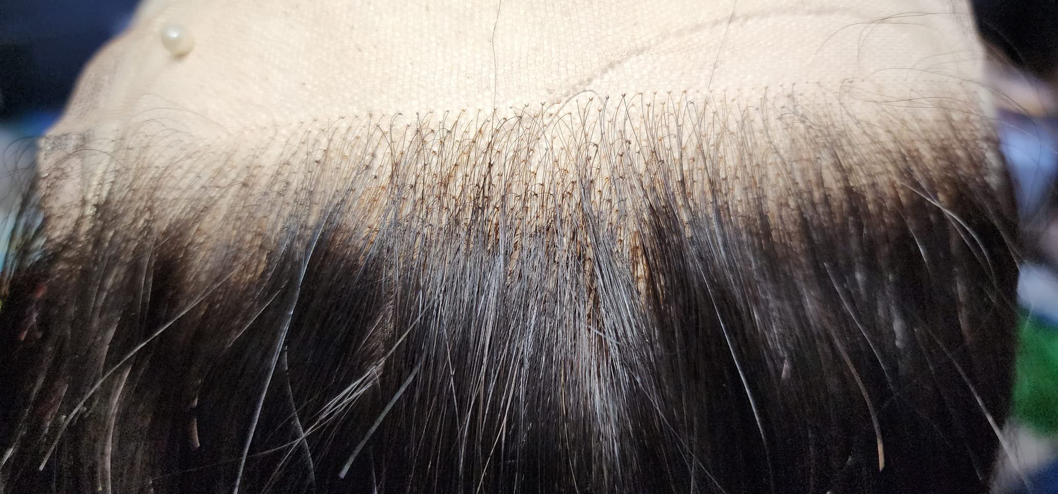 Amazon.com : Myshinywigs 5x5 Real HD Lace Closure Straight Human Hair ...