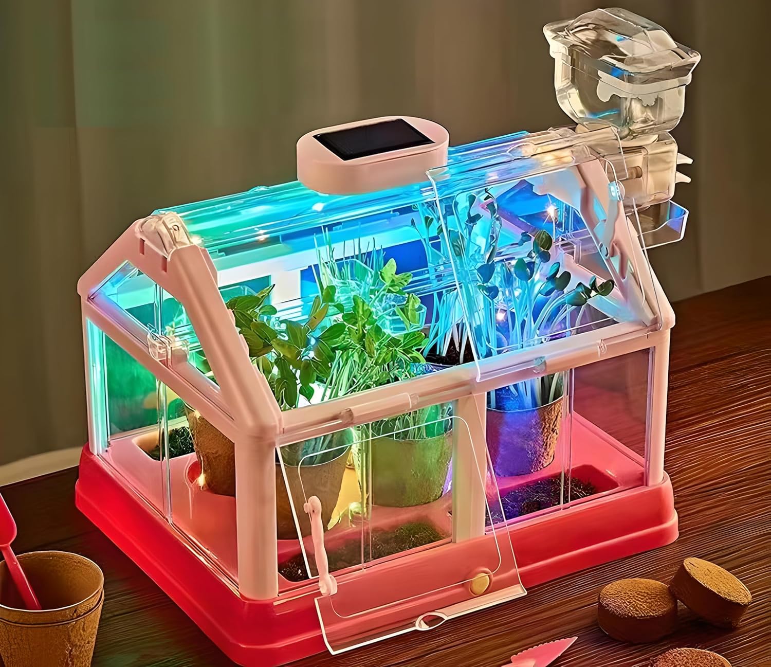 Amazon.com: GrandSail Kids Plant Growing Kit: Terrarium Kit for Kids ...