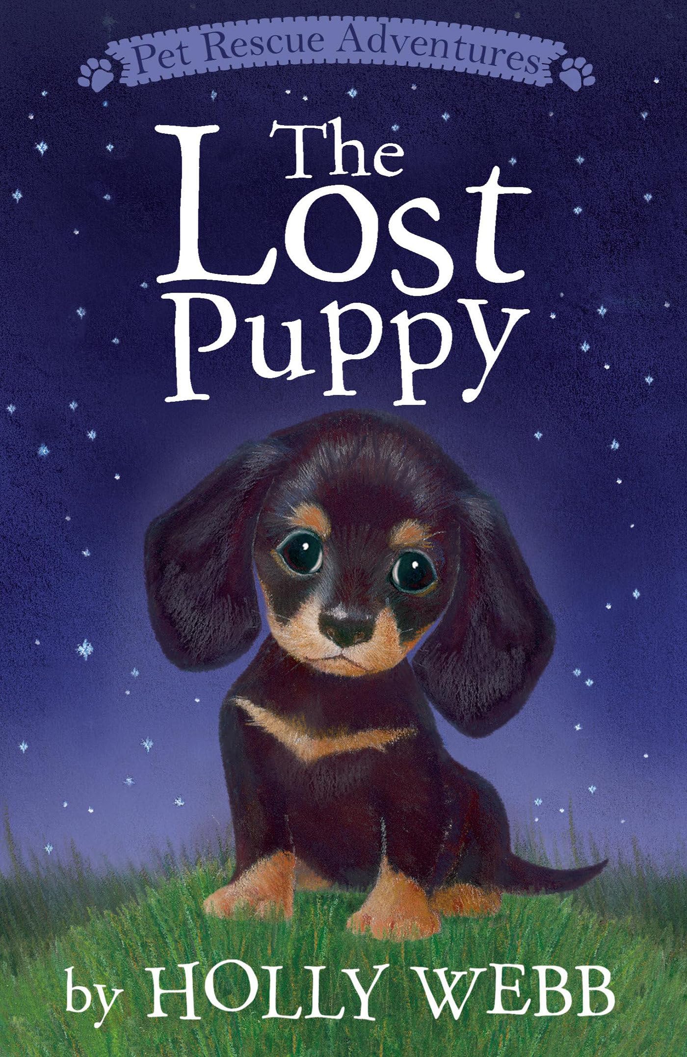 Amazon.com: The Lost Puppy (Pet Rescue Adventures): 9781589254916: Webb ...