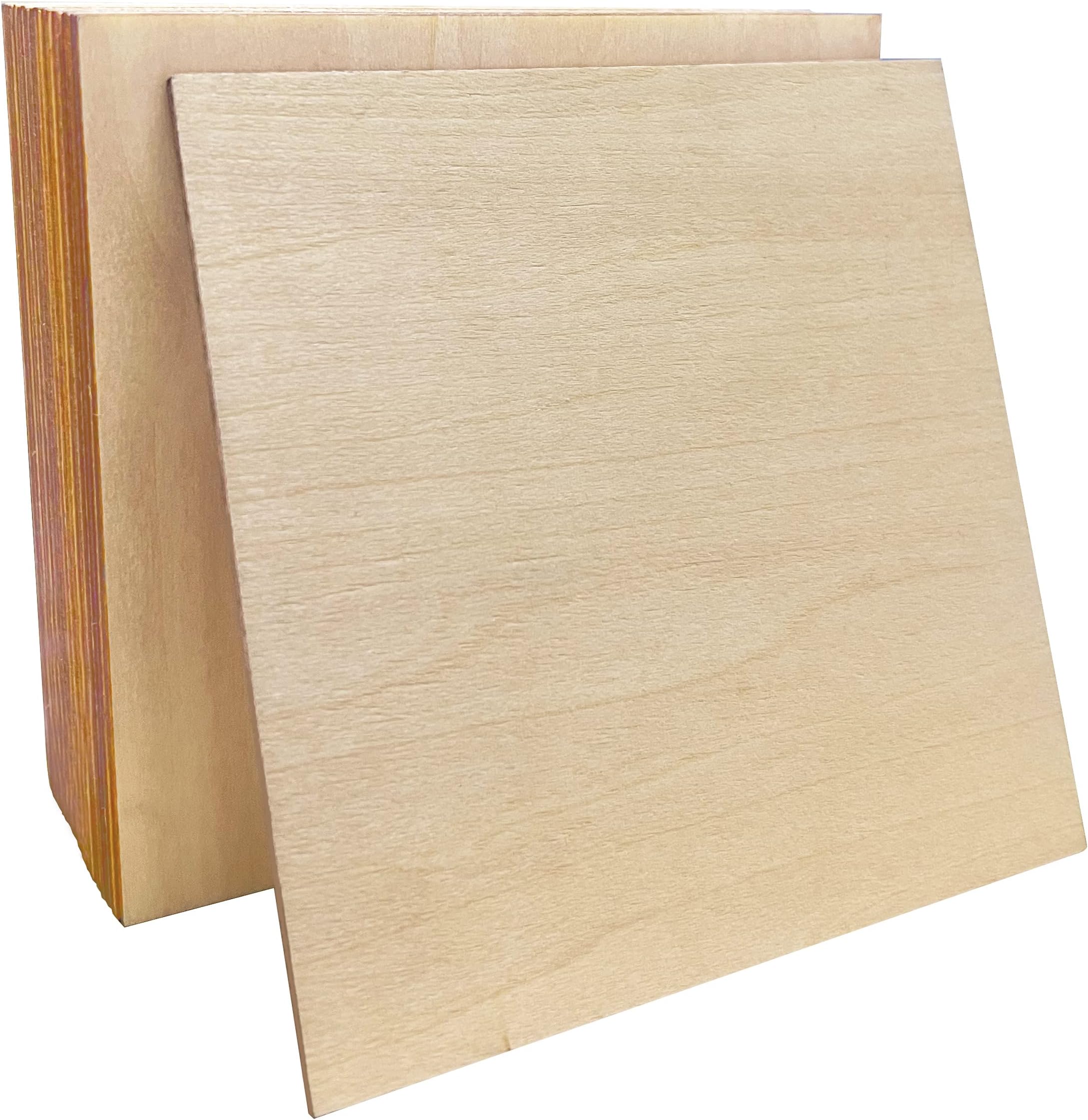 Amazon.com: 20 PCS Wood Sheets,Unfinished Plywood Basswood Sheet,for ...