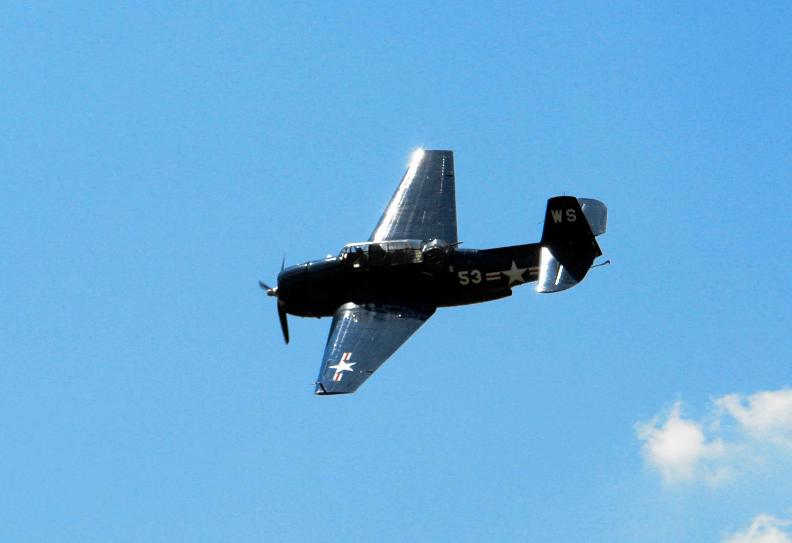 Amazon.com: PFP Hellcat Wall Decal 49.5"x72" : Tools & Home Improvement