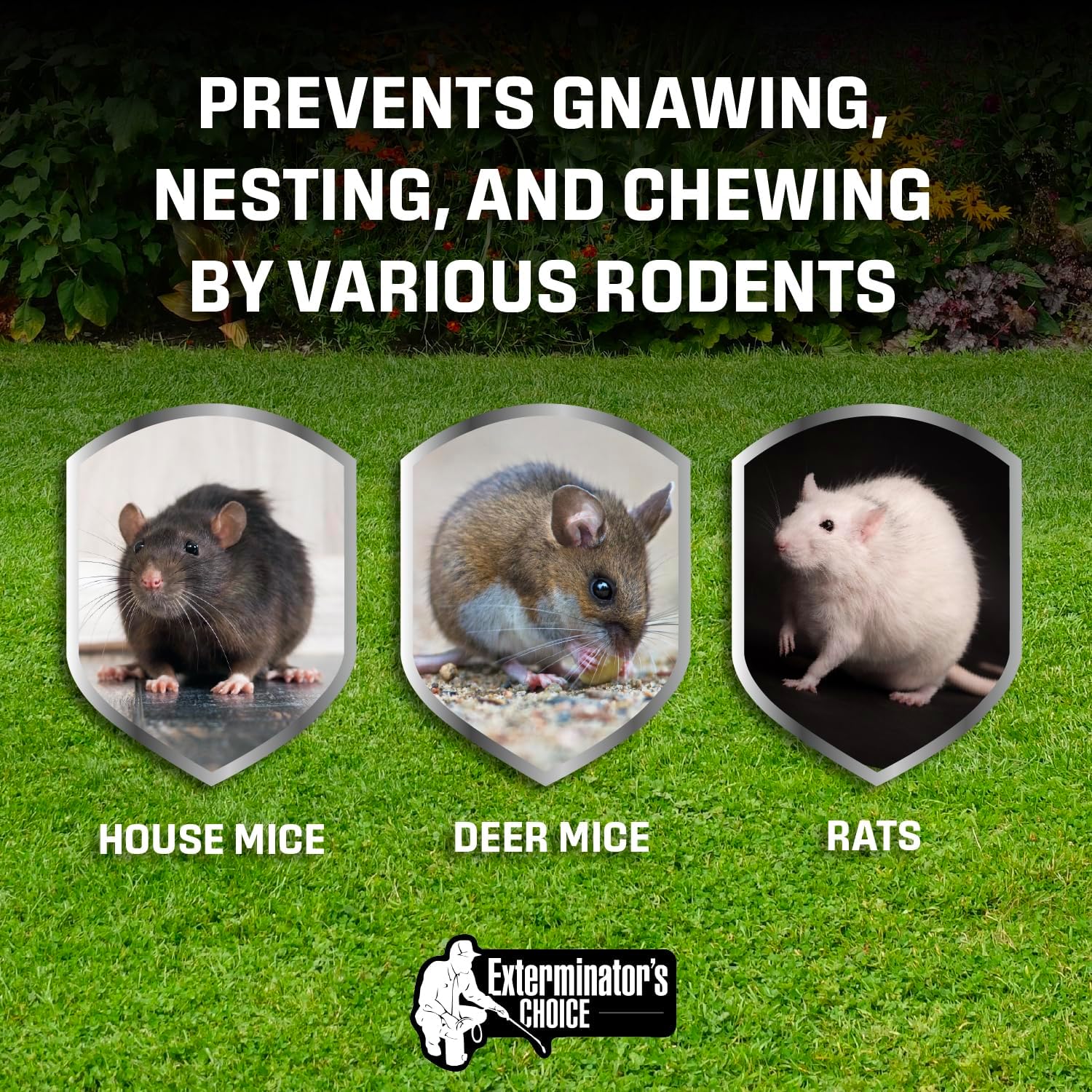 Exterminador de ratas Mice Defense – Yaxa Colombia