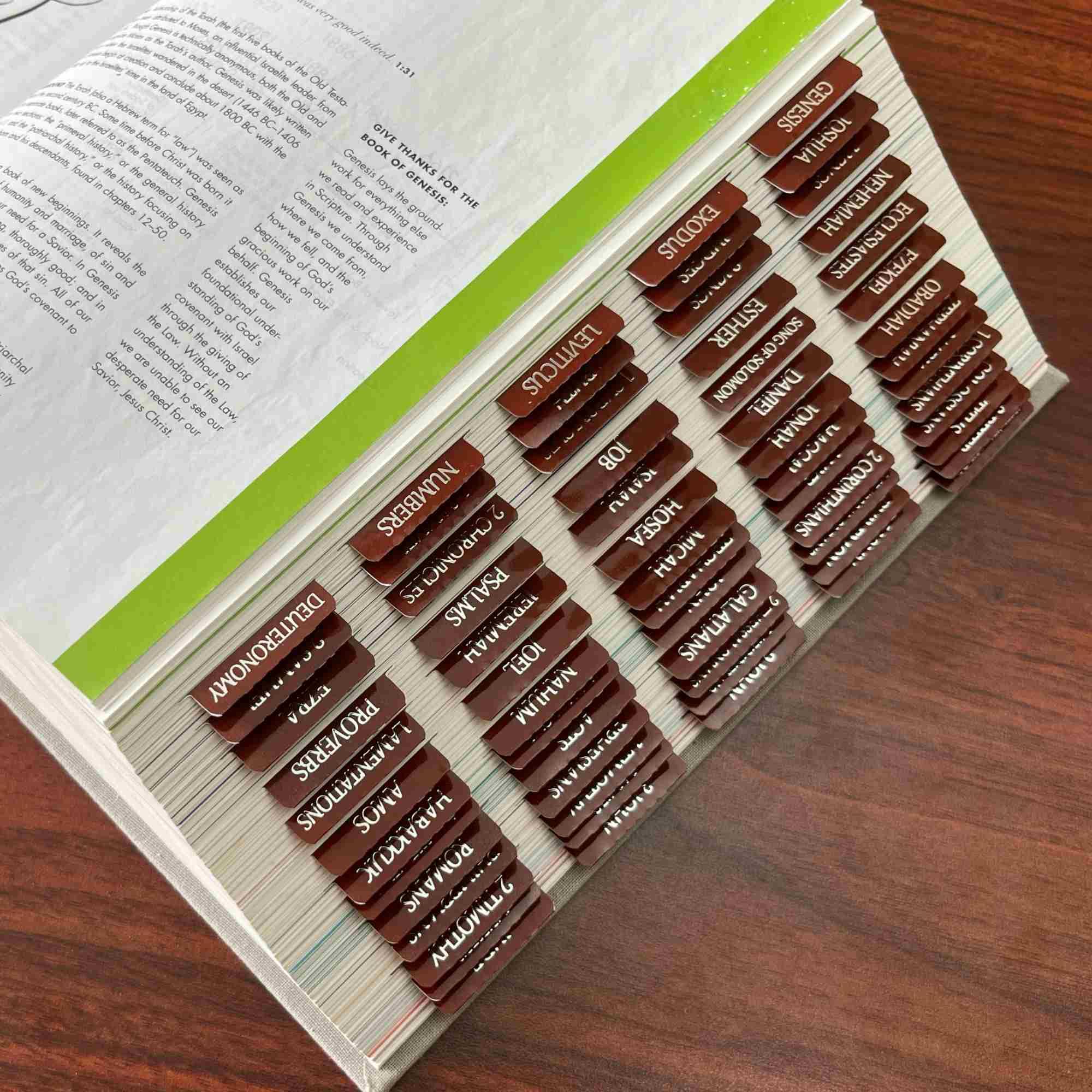 Snapklik.com : Thinkor Reposition Laminated Bible Tabs, Large Print ...