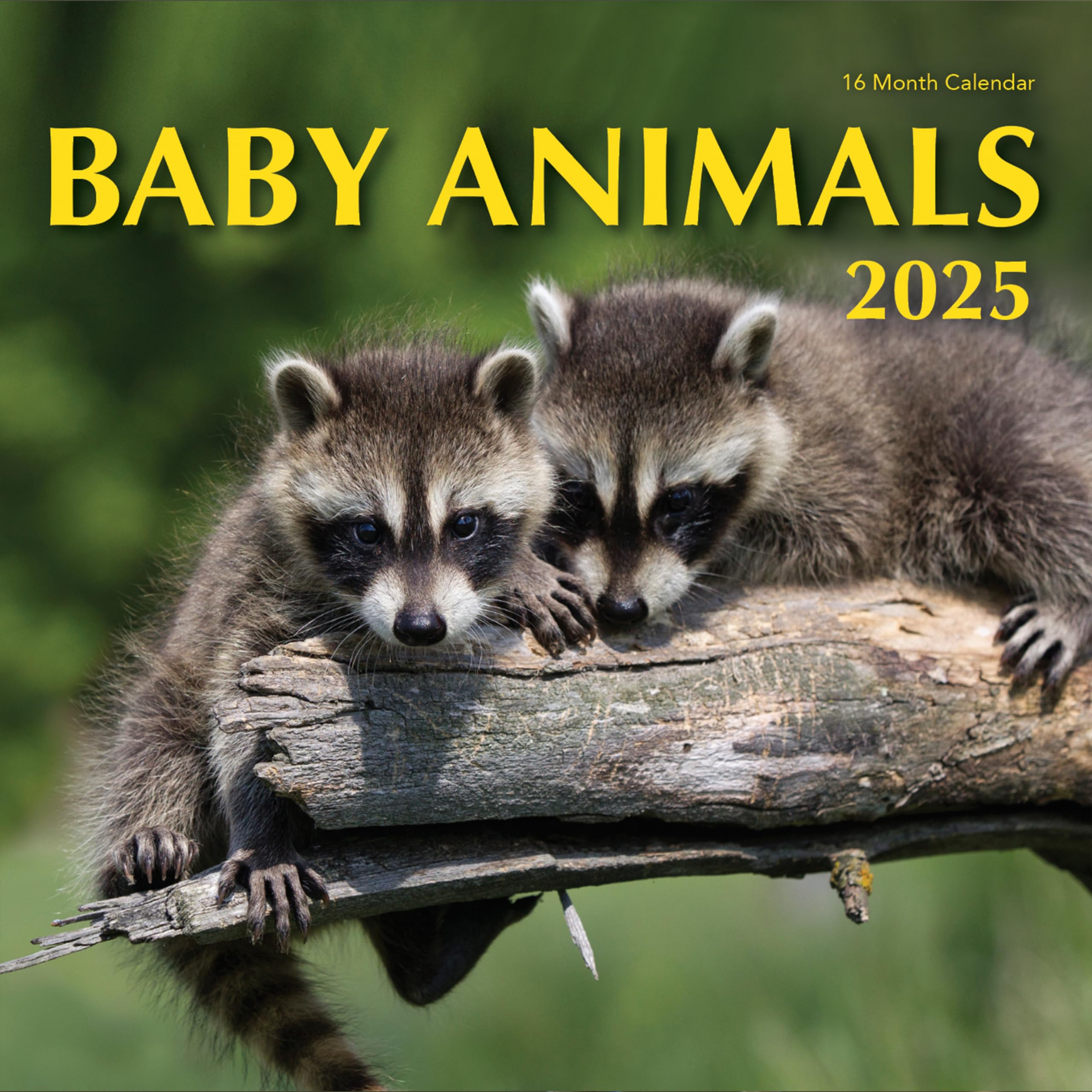 2025 Baby Animals Hangable Wall Calendar Cute Funny Animal Photo Gifts ...