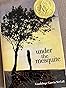 Amazon.com: Under the Mesquite: 9781600604294: Guadalupe García McCall ...