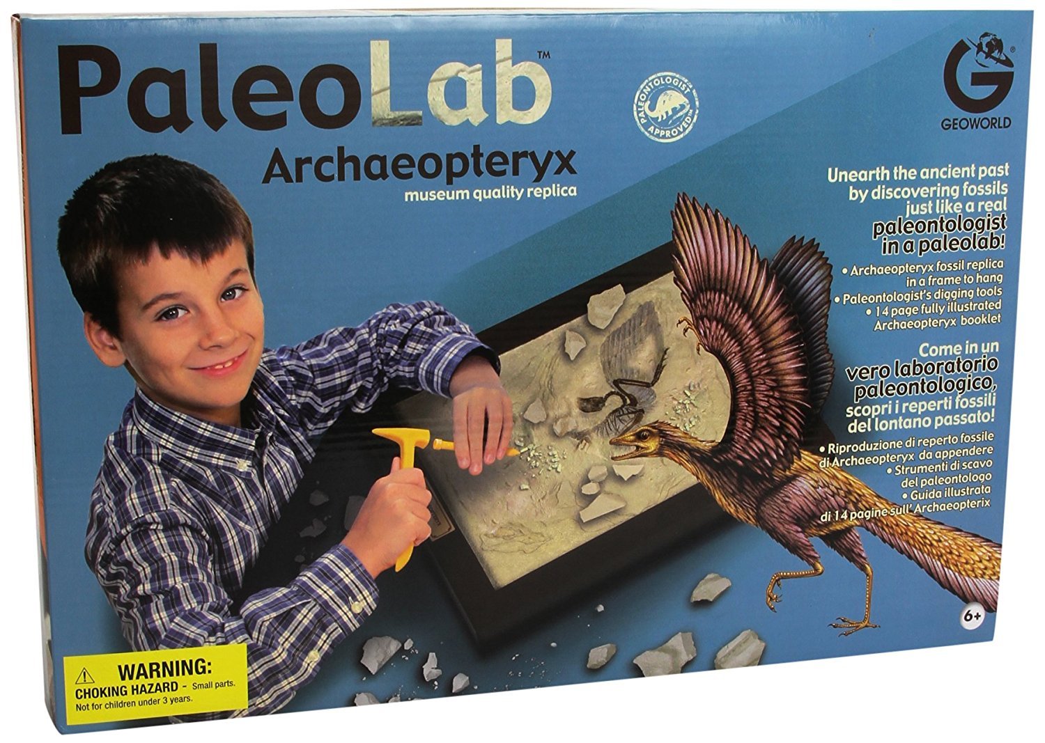 Archaeopteryx Fossil Replica