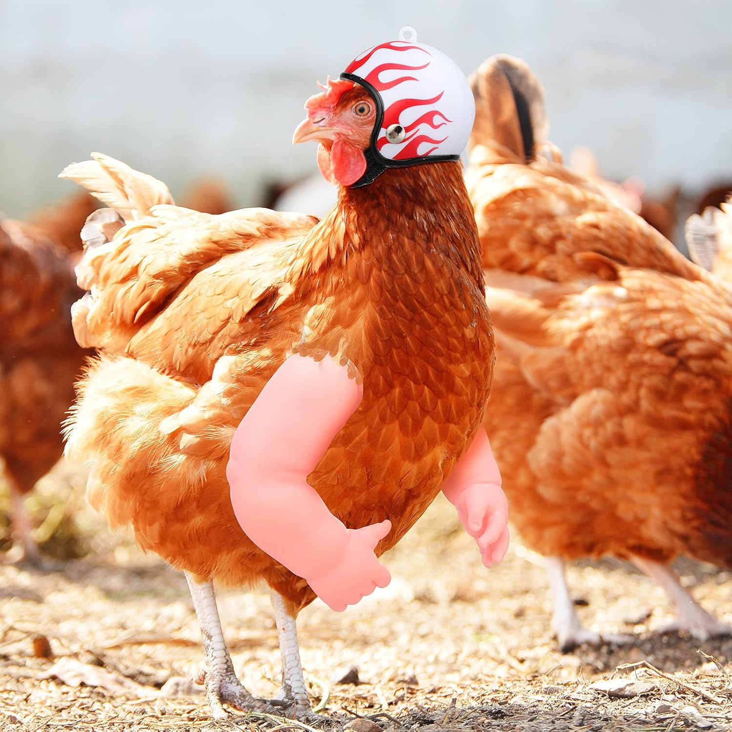 Buy Gejoy 2 Pieces Chicken Toys Include Chicken Doll Arms and Chicken ...