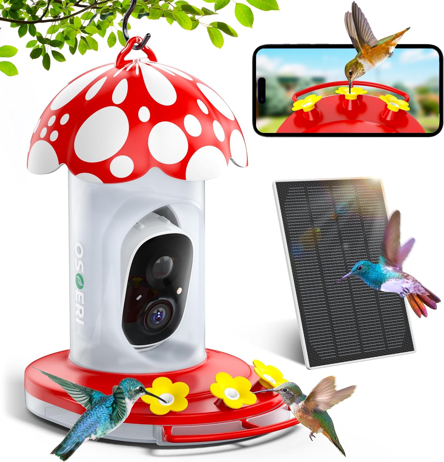 Amazon.com : Osoeri Hummingbird Feeder with Camera, 2K HD AI Identify ...