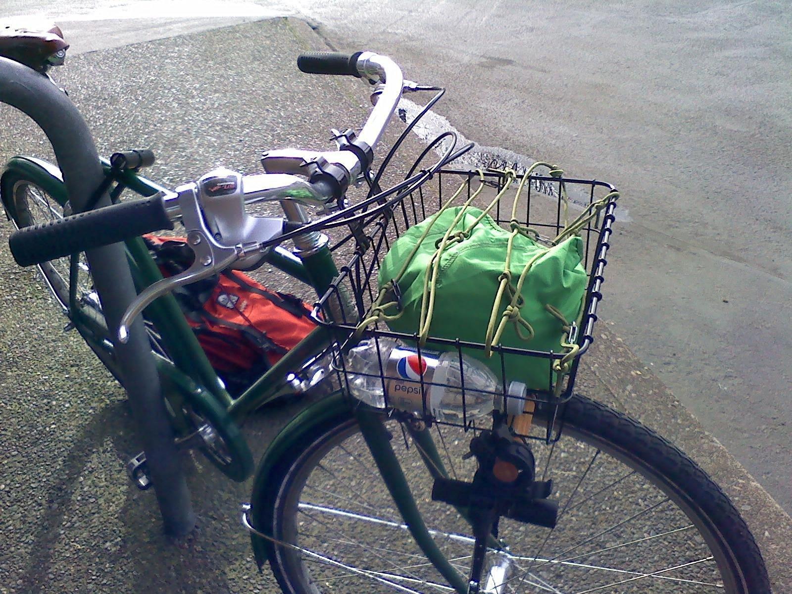 Amazon.com : Wald 1372 Front Basket: Gloss Black; MD : Bike Baskets ...