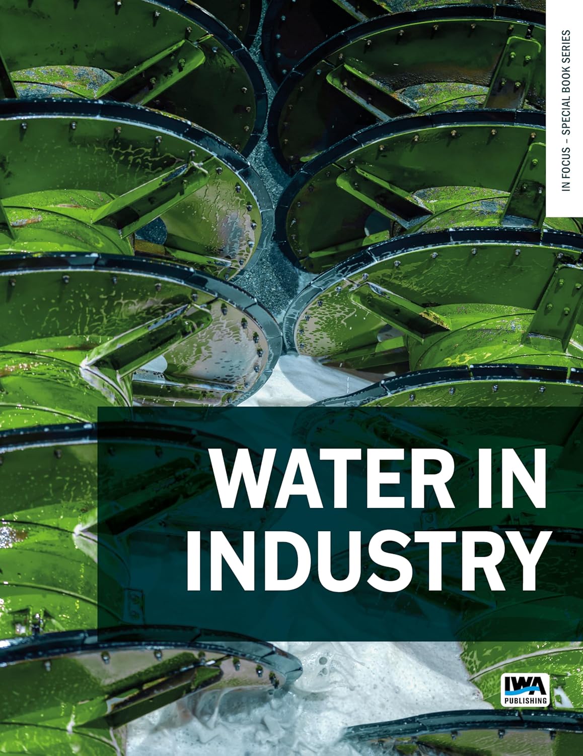 Water in Industry (In Focus - Special Book): Zhang, Yongjun, Geissen, Sven Uwe, Track, Thomas ...
