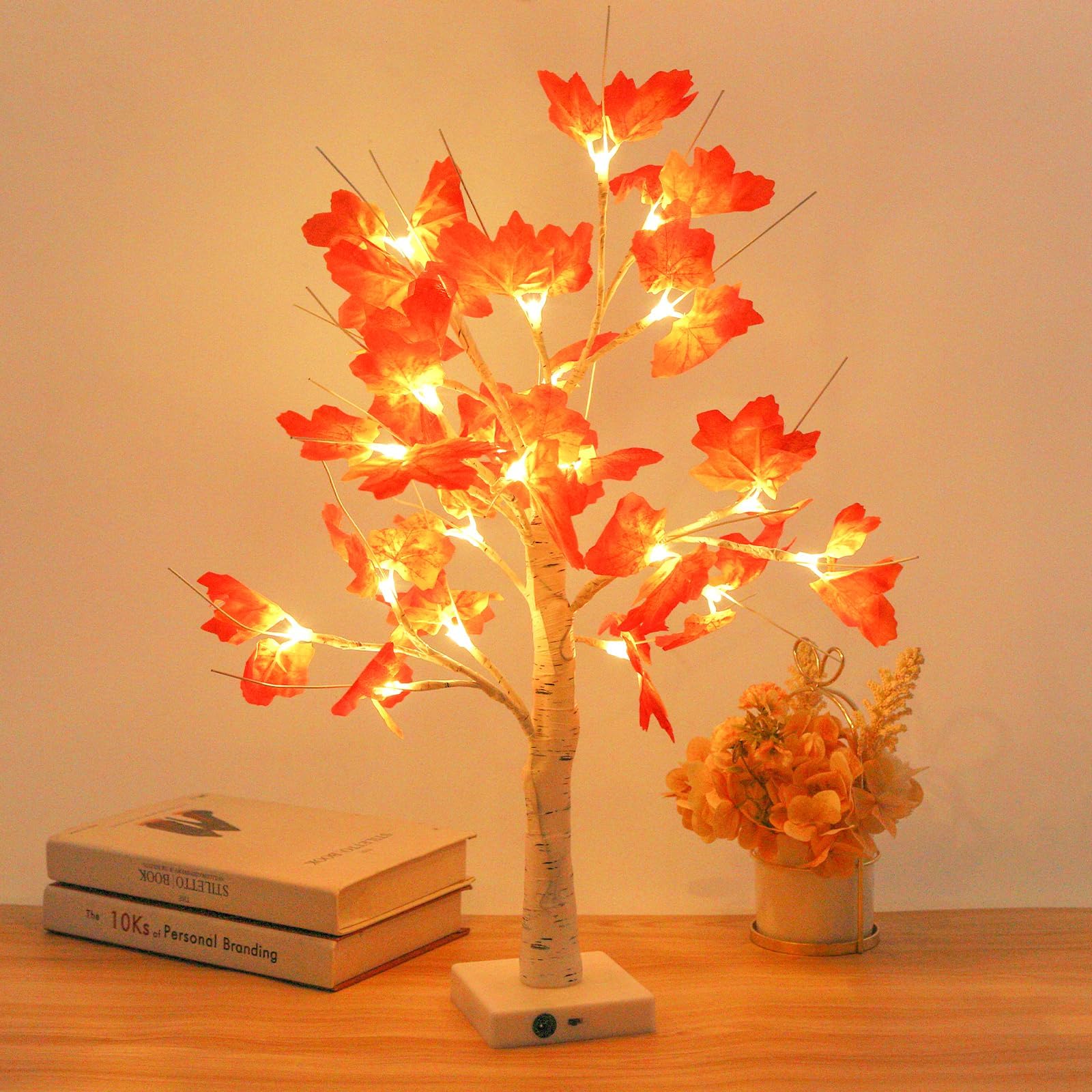 Amazon.de: ChaneeHann LED Baum Lichter, Baum Licht mit 24 Warmweiß LEDs ...