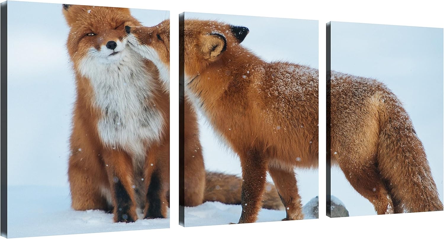 Amazon.com: Fox Canvas Wall Art Wildlife Decor Snow Red Fox Pictures on ...