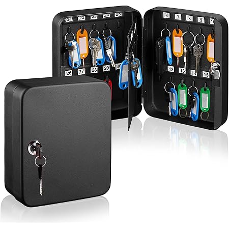 Amazon.com : Amazon Basics 24-Key Position Cabinet lock Box, Silver, 12 ...